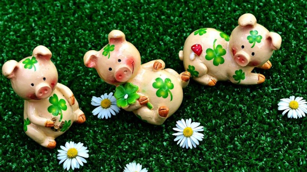 15 Cosas Que Dan Buena Suerte » ¿Cómo Aprovecharlas?